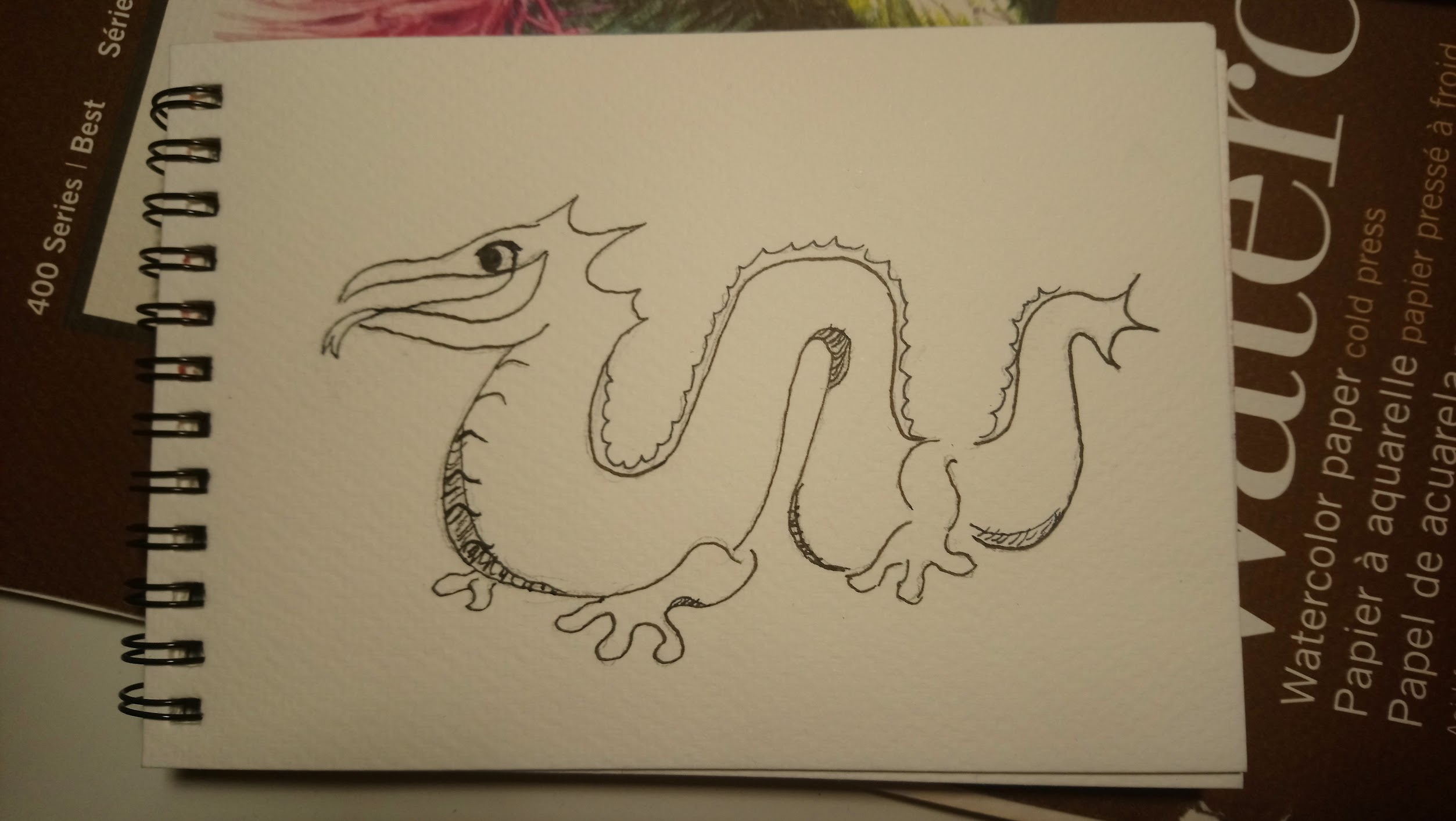 Sarah Kushner | Portfolio